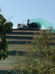 Hydromulching (also Known At Hydroseeding/Spray On Grass): The Greatest ...